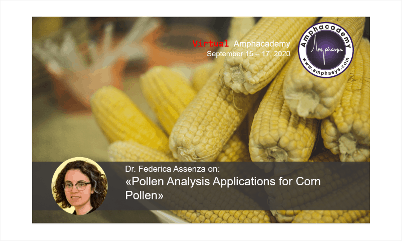 Pollen Analysis Applications for Corn - Virtual Amphacademy