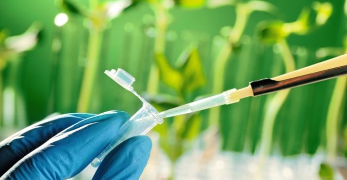 Precision Phenotyping through Pollen Analysis - Amphasys Precision Phenotyping through Pollen Analysis - Amphasys