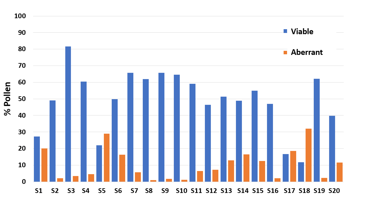 Sunflower Pollen - Amphasys: Single-Cell Analysis Sunflower Pollen - Amphasys: Single-Cell Analysis
