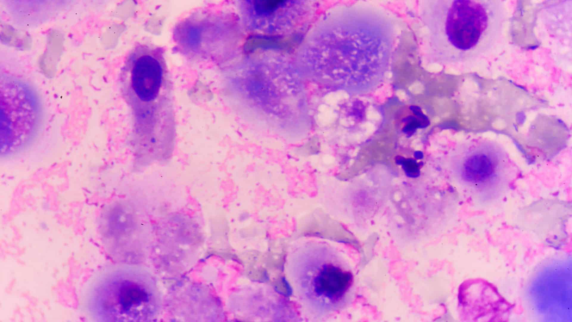 Bioprocessing Amphasys Single Cell Analysis
