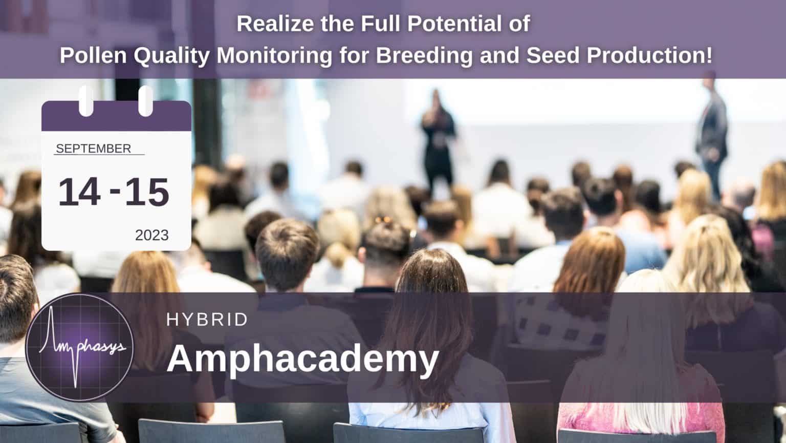 Hybrid Amphacademy 2023 - Amphasys